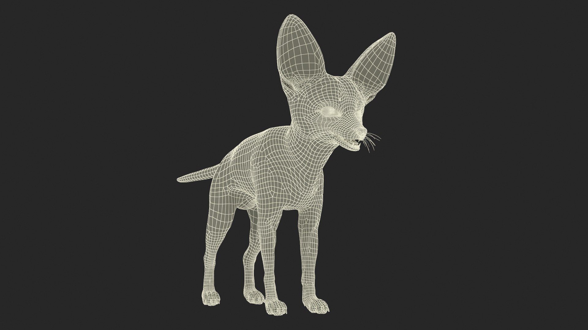 3D Fennec Fox Fur - TurboSquid 2182905