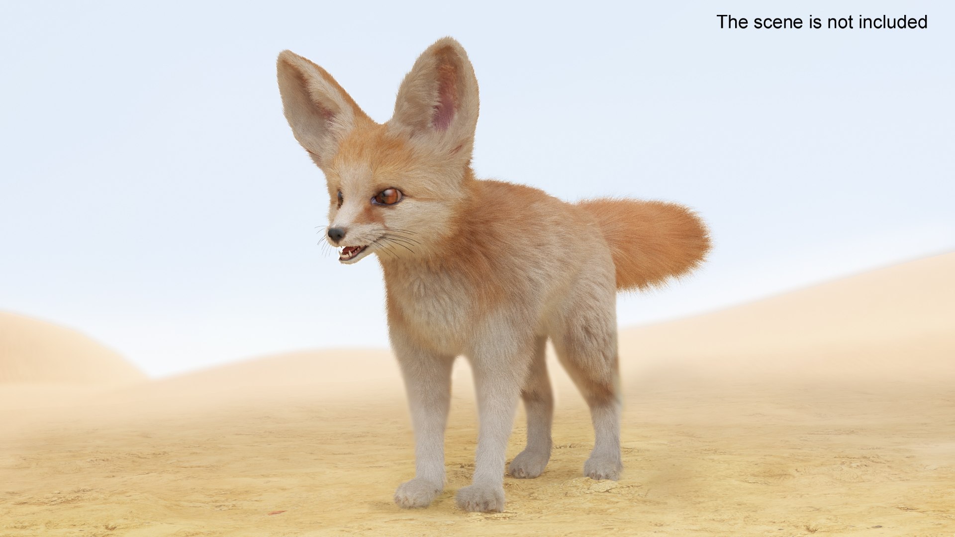 3D Fennec Fox Fur - TurboSquid 2182905