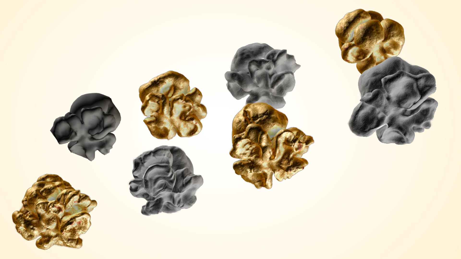 Popcorn Kernels 3d Model