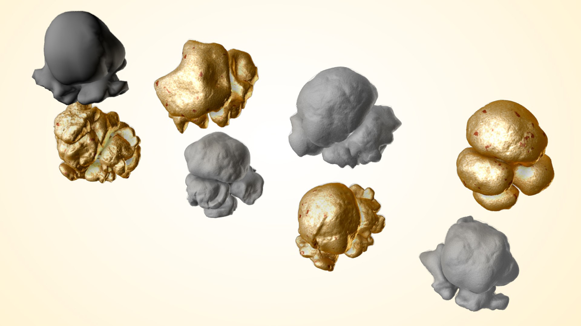 Popcorn Kernels 3d Model