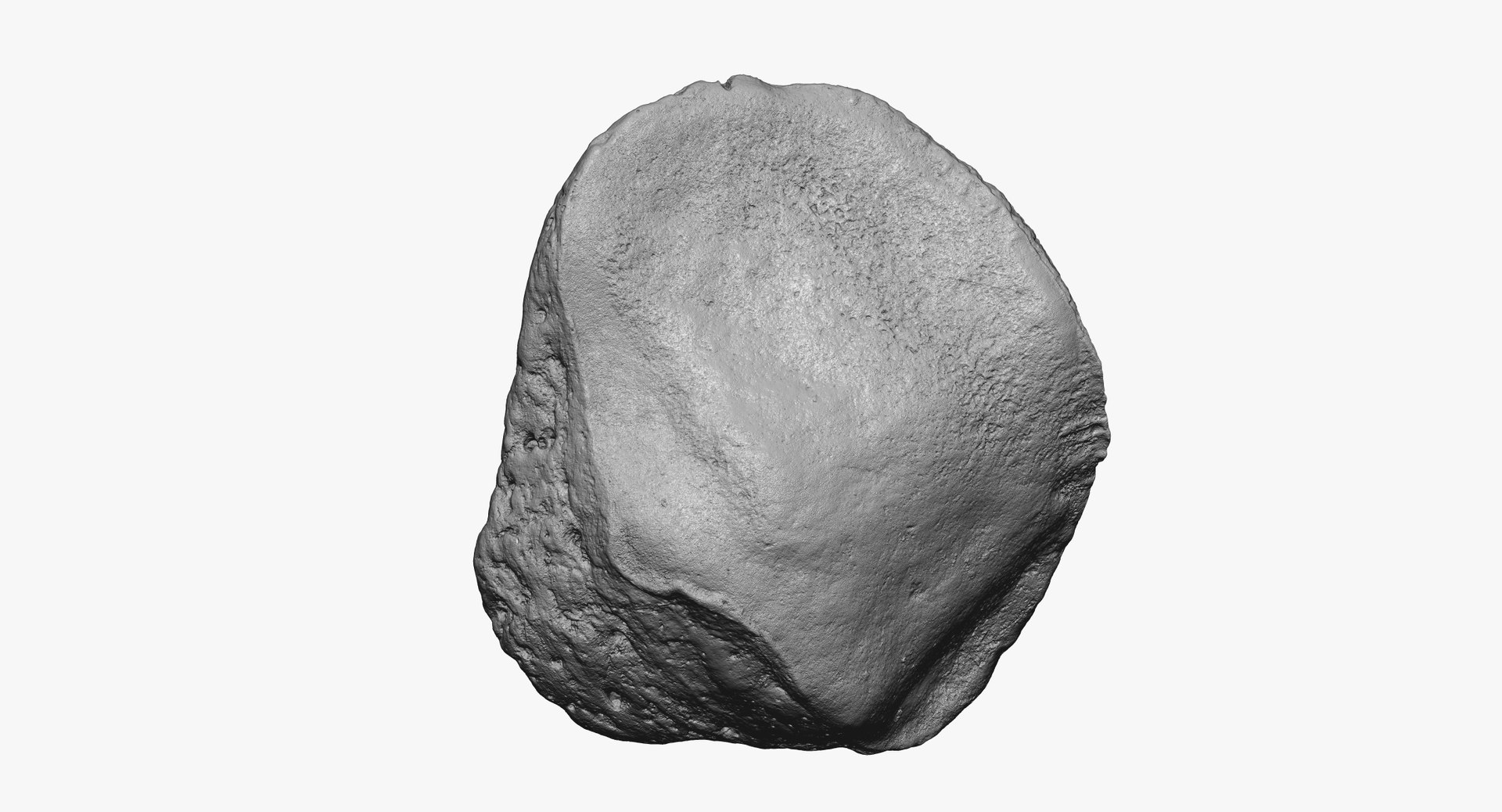 Human Patella Bone - Model - TurboSquid 1537163
