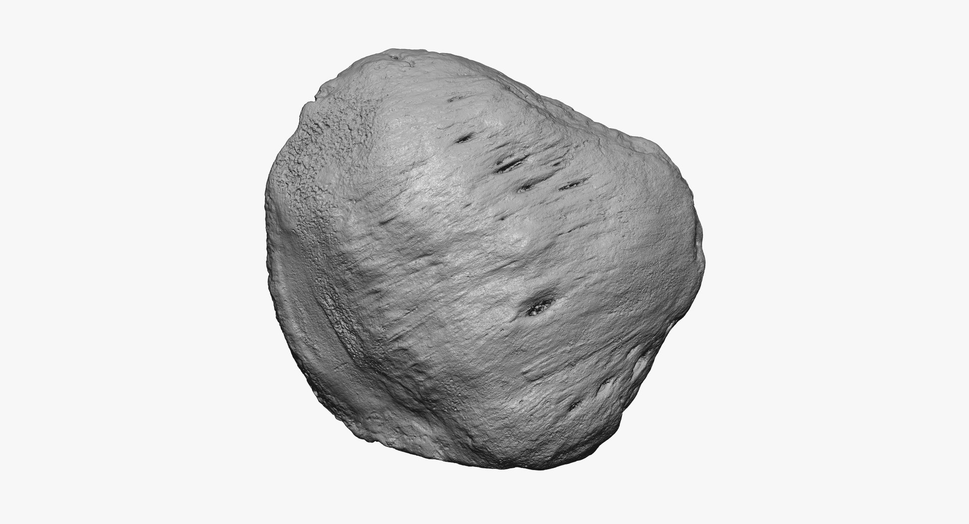 Human Patella Bone - Model - TurboSquid 1537163