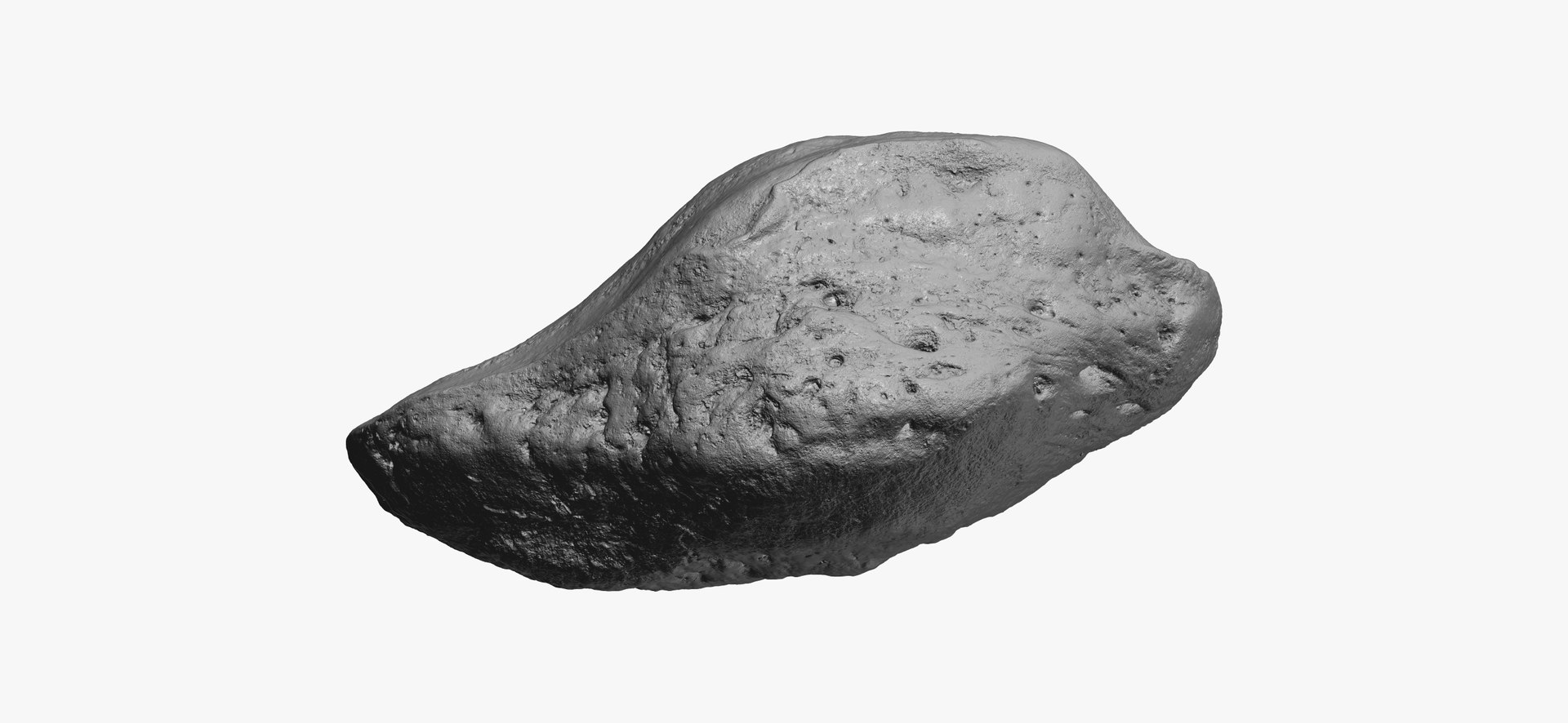 Human Patella Bone - Model - TurboSquid 1537163