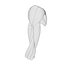 3d ultimate human upper arm