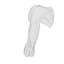 3d ultimate human upper arm