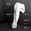 3d Ultimate Human Upper Arm