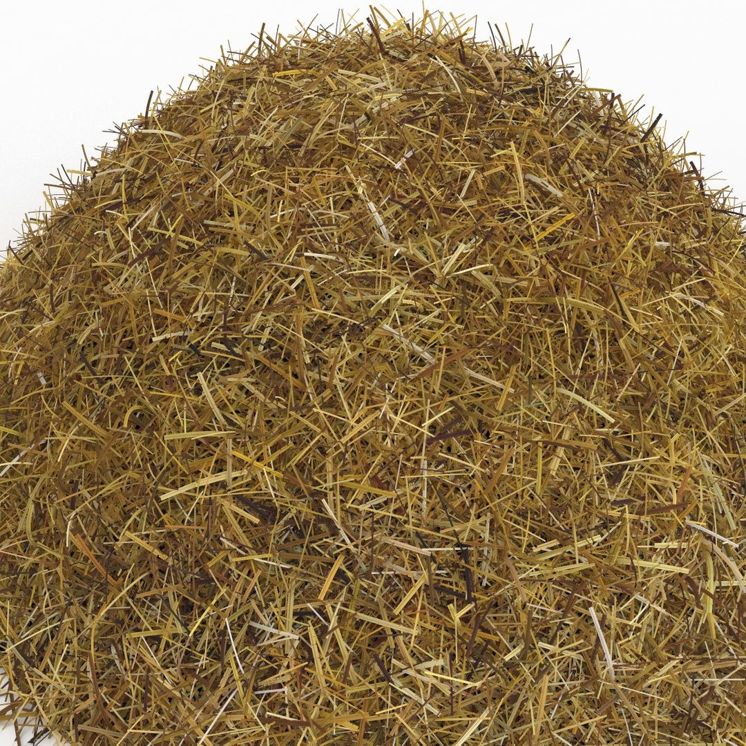 3d Model Of Hay Pile