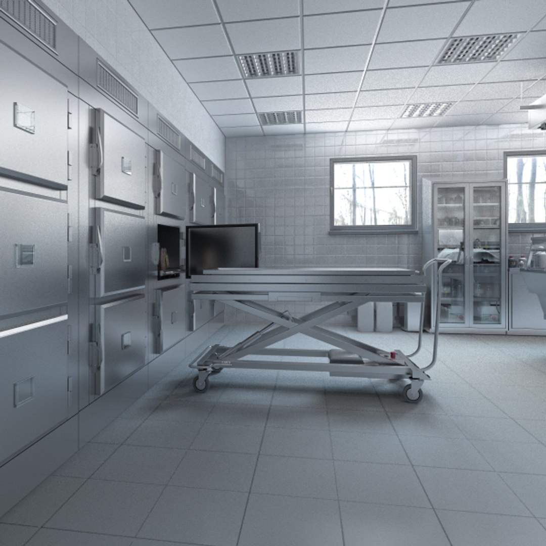 3d Anatomy Autopsy Laboratory Equipment Model