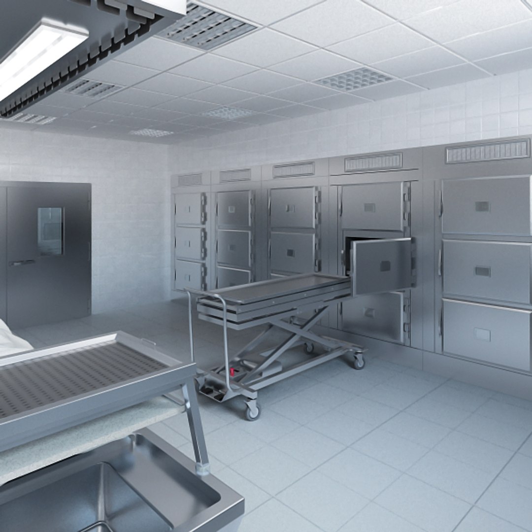 3d Anatomy Autopsy Laboratory Equipment Model