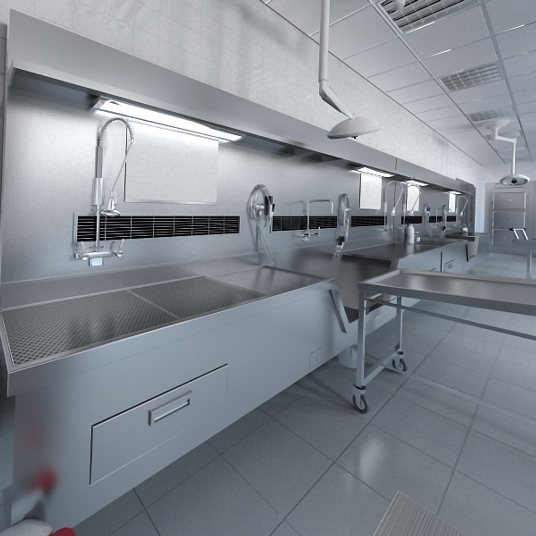 3d Anatomy Autopsy Laboratory Equipment Model
