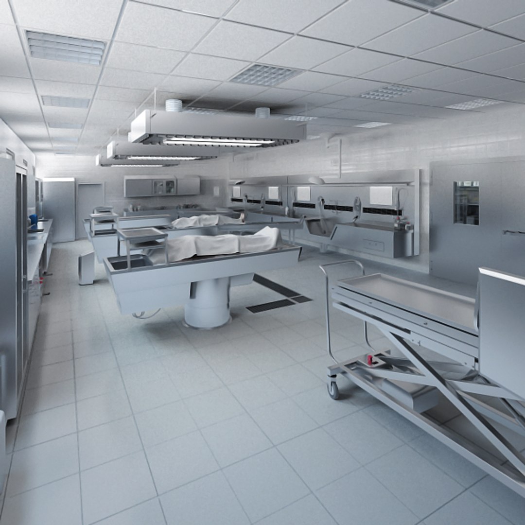 3d Anatomy Autopsy Laboratory Equipment Model