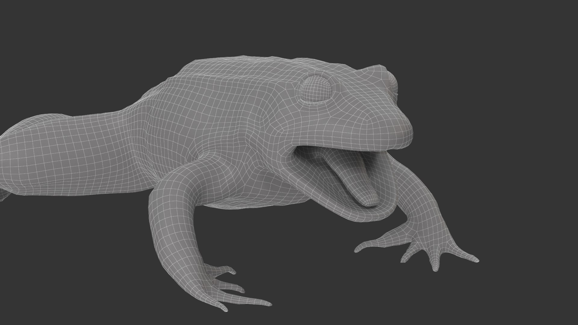 Swimming Northern Green Frog Rigged 3D Model - TurboSquid 1985117