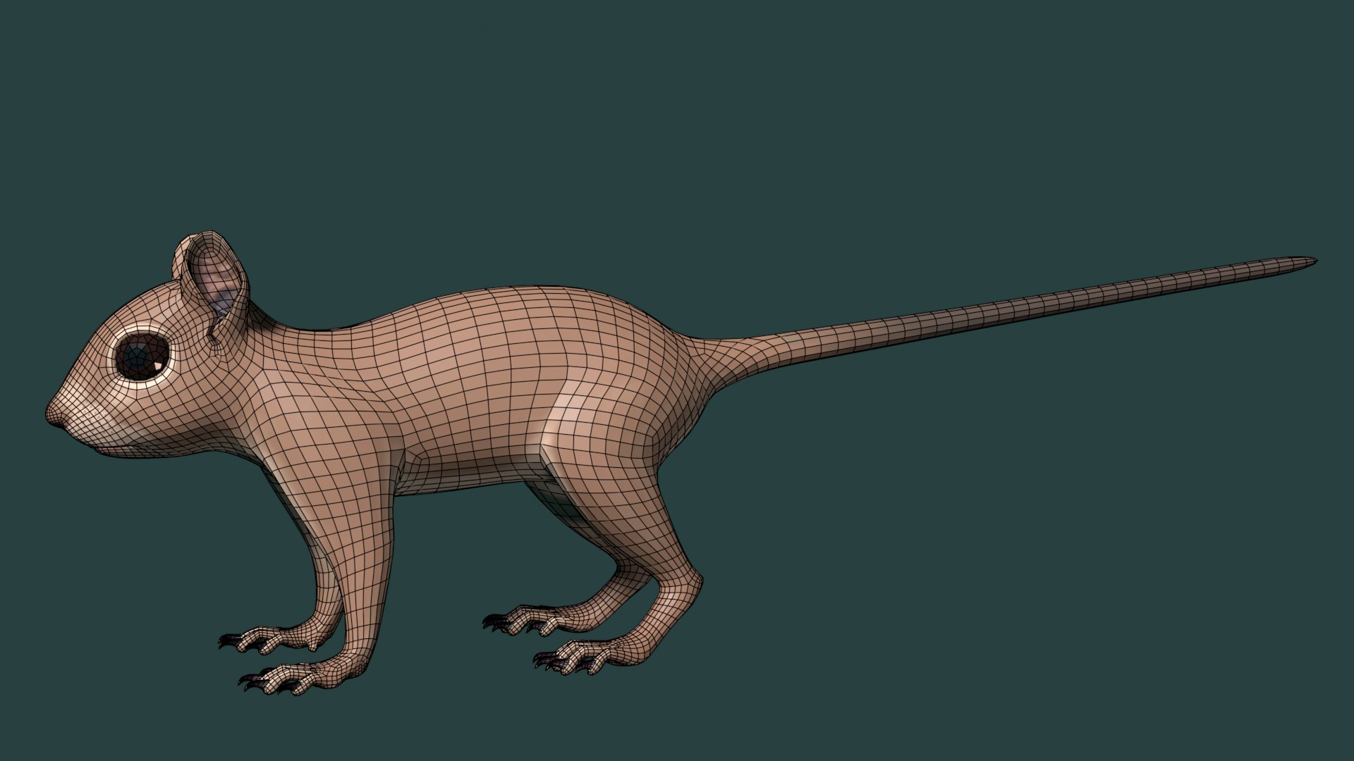 3D Squirrel model - TurboSquid 2084588