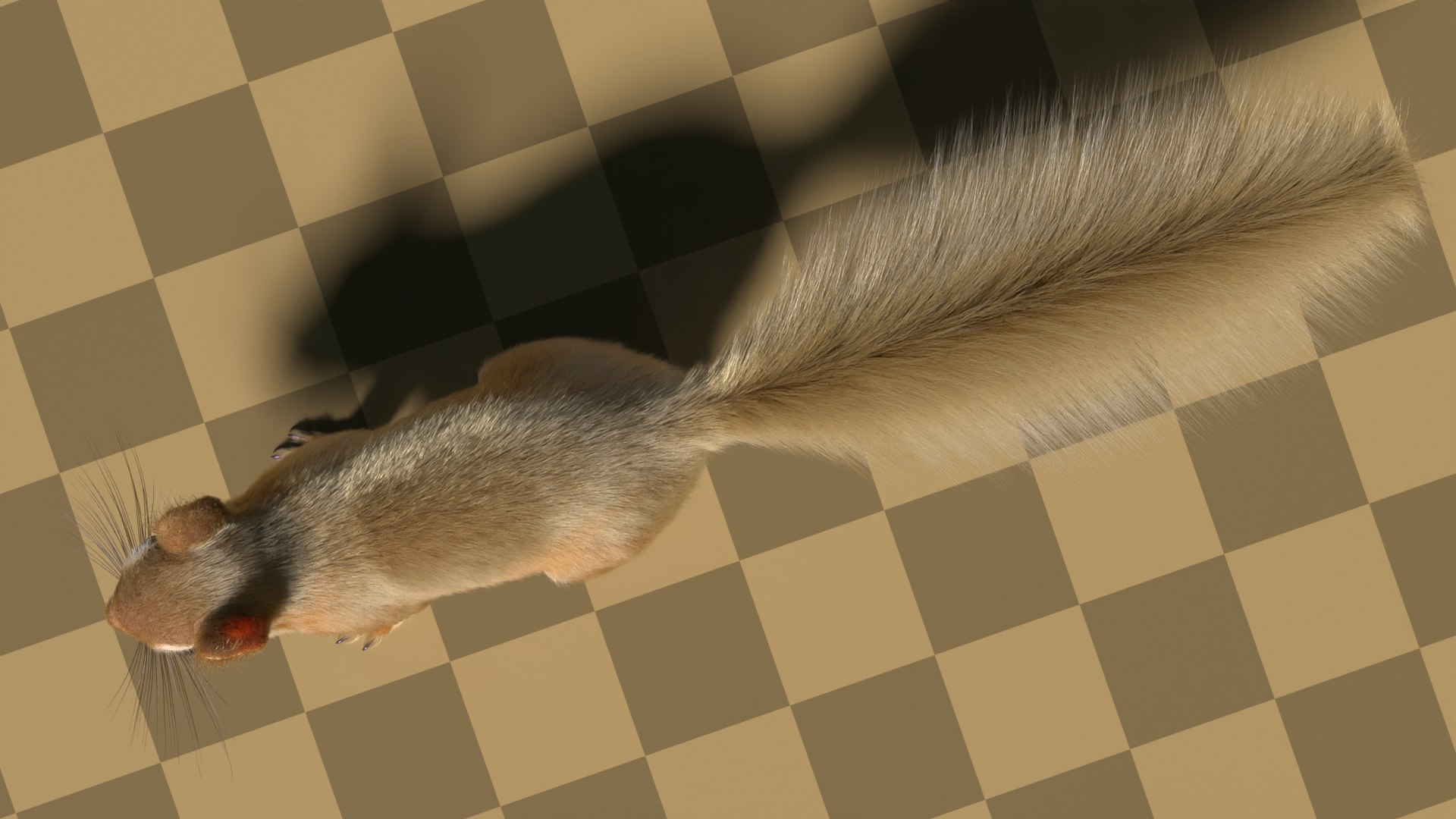 3D Squirrel Model - TurboSquid 2084588
