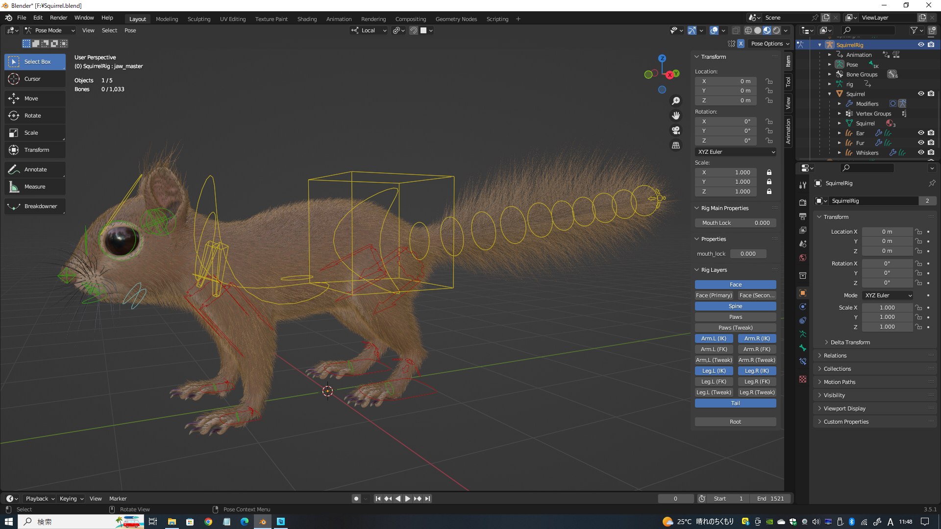3D Squirrel Model - TurboSquid 2084588