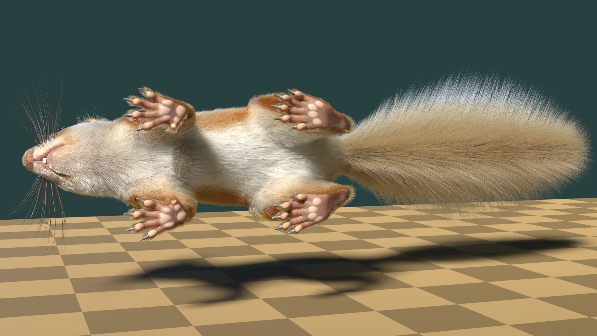 3D Squirrel Model - TurboSquid 2084588