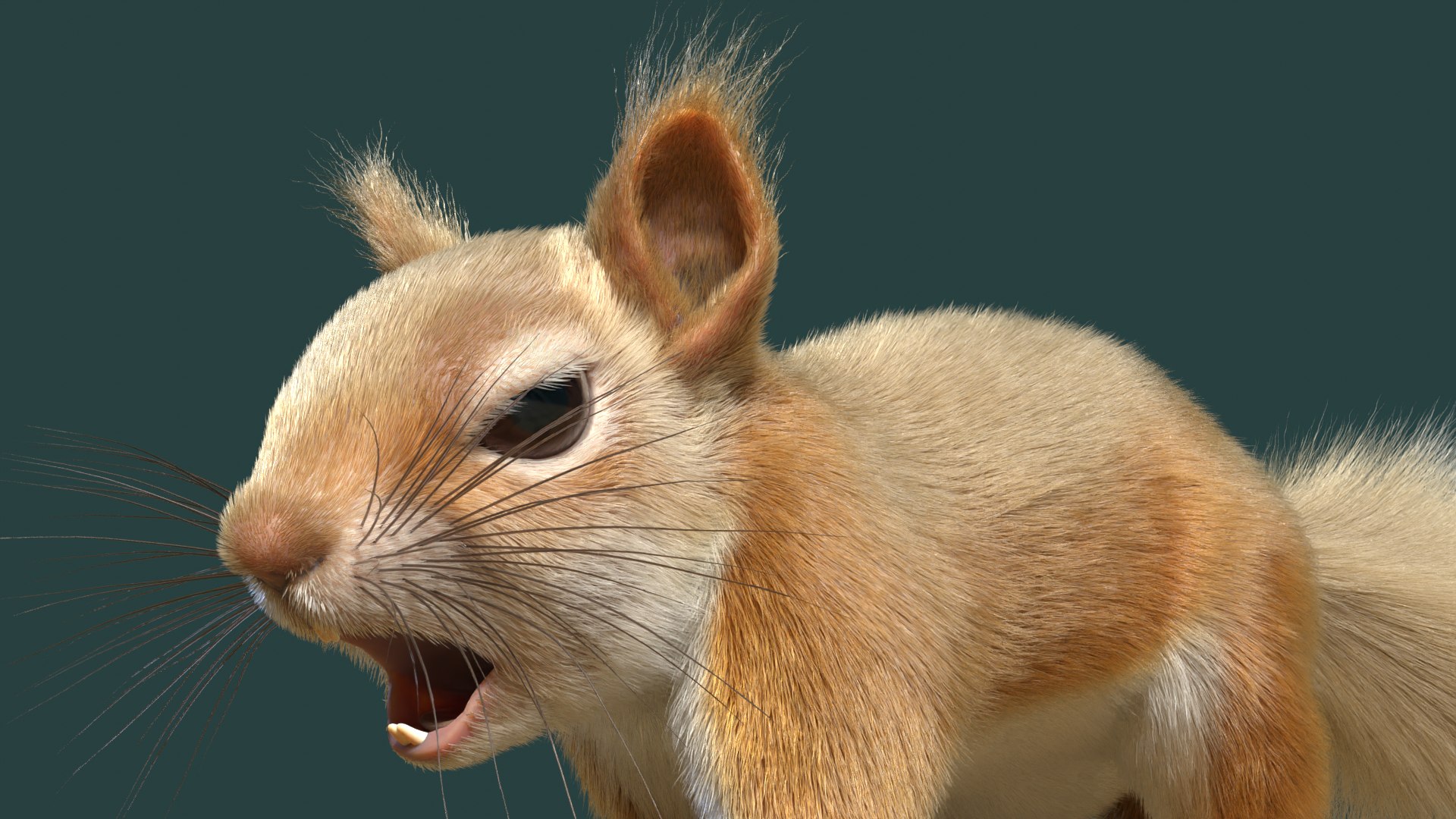3D Squirrel Model - TurboSquid 2084588