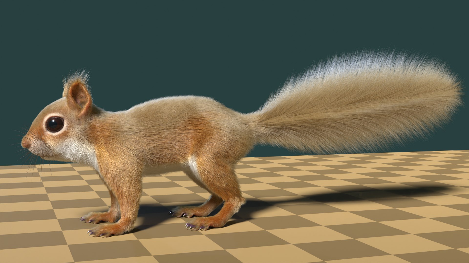 3D Squirrel Model - TurboSquid 2084588