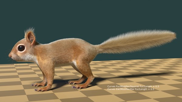 modelo 3d Ardilla - TurboSquid 2084588