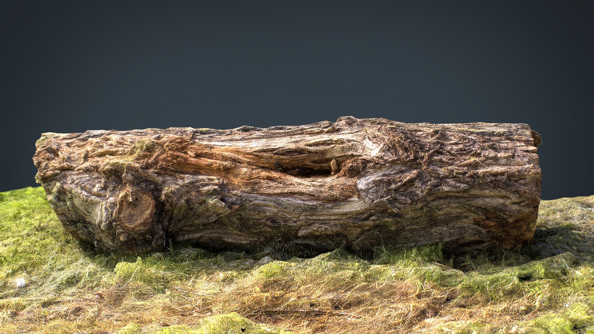 Dead Trunk 3D Model - TurboSquid 1281492