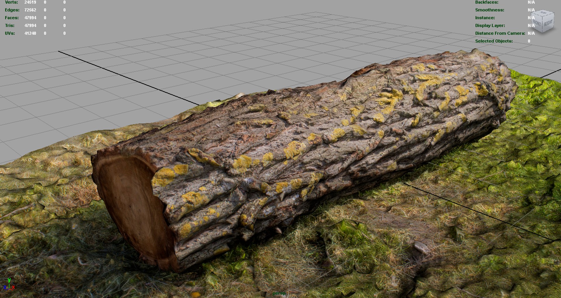Dead Trunk 3D Model - TurboSquid 1281492