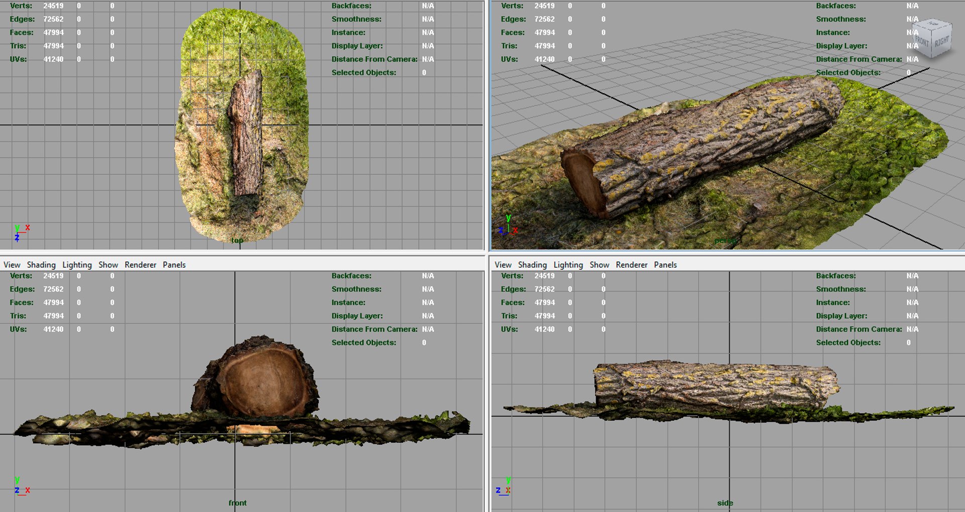 Dead Trunk 3D Model - TurboSquid 1281492