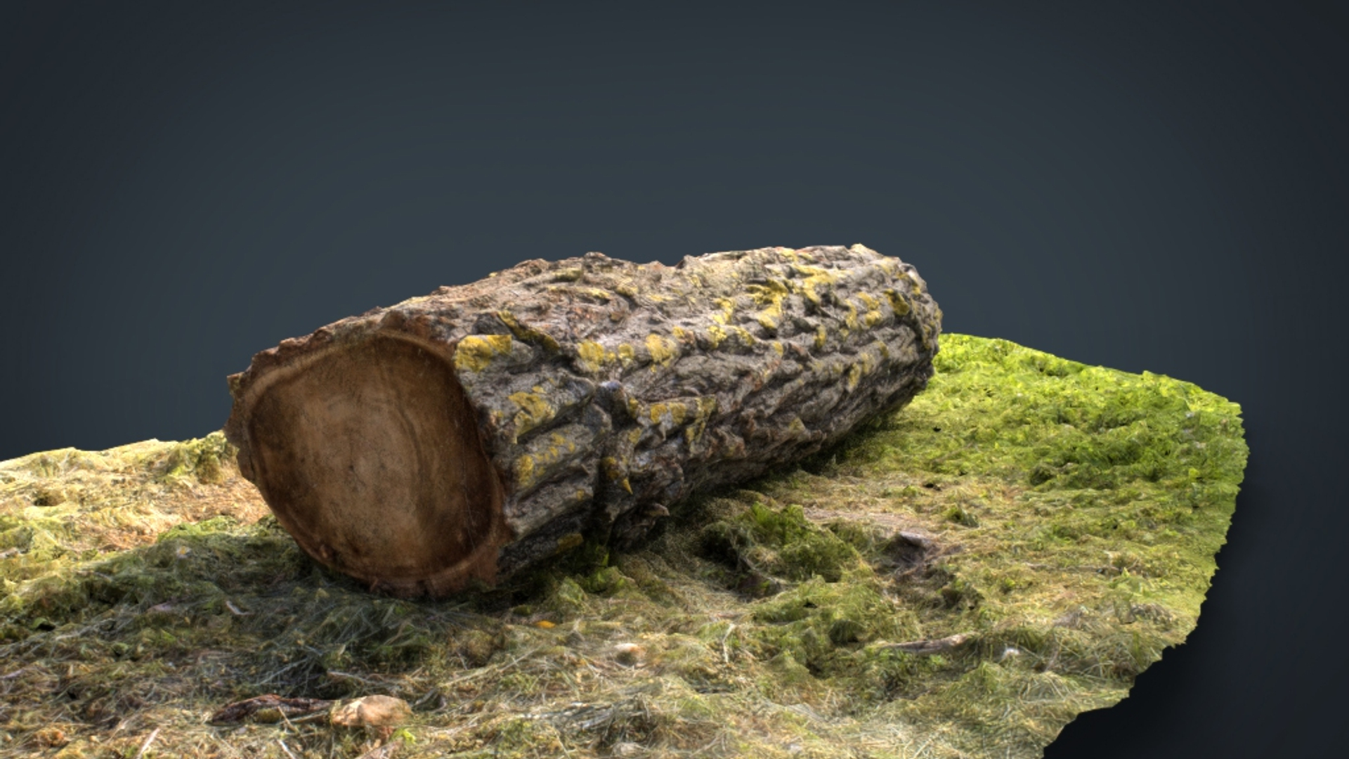 Dead Trunk 3D Model - TurboSquid 1281492