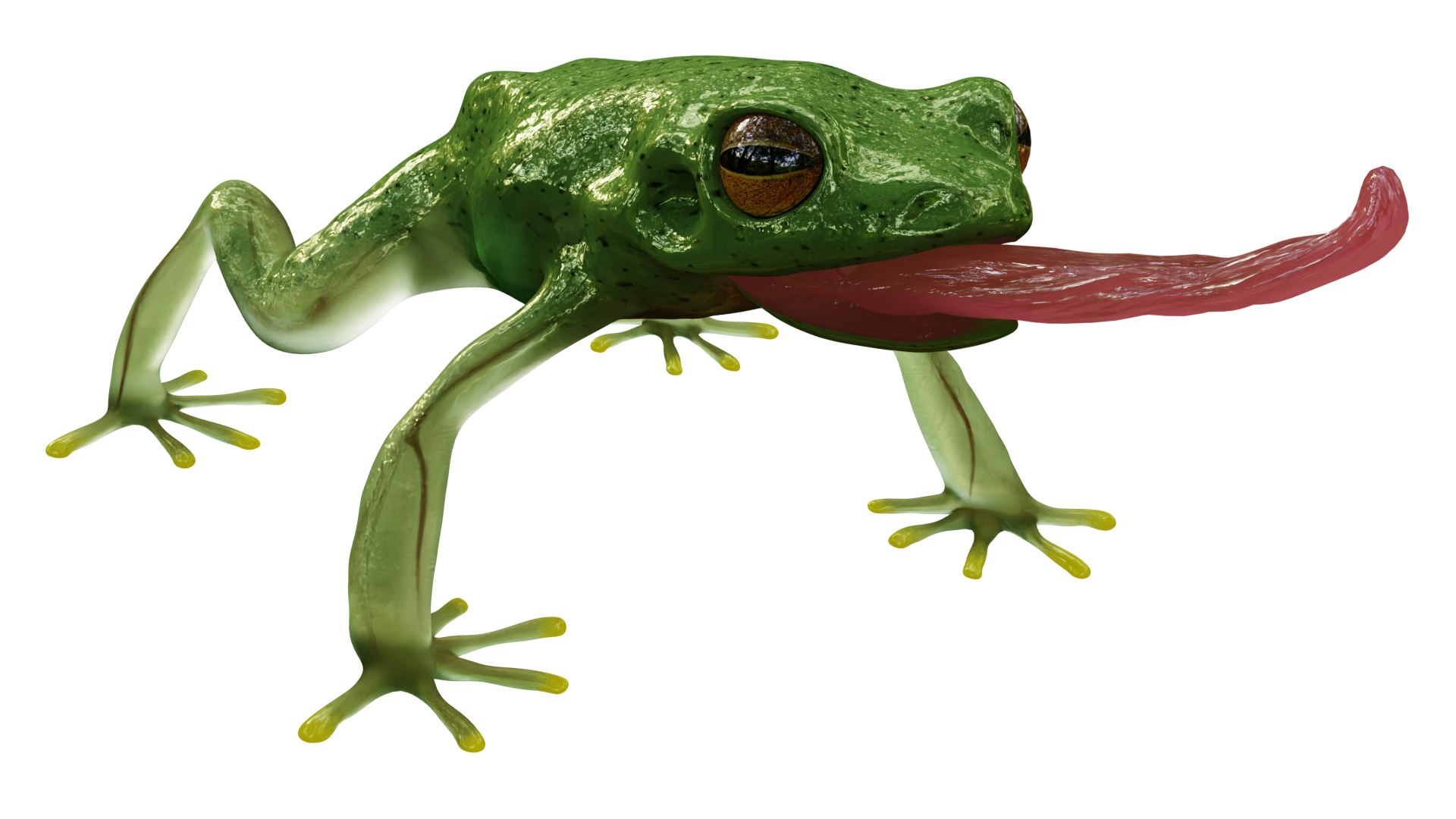 3D Tree Frog Model - TurboSquid 1842333
