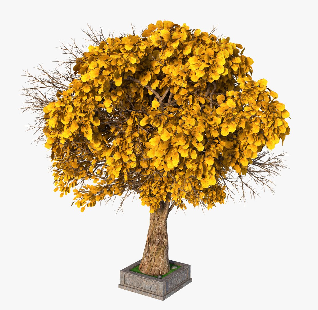 3D model tree autumn - TurboSquid 1410056