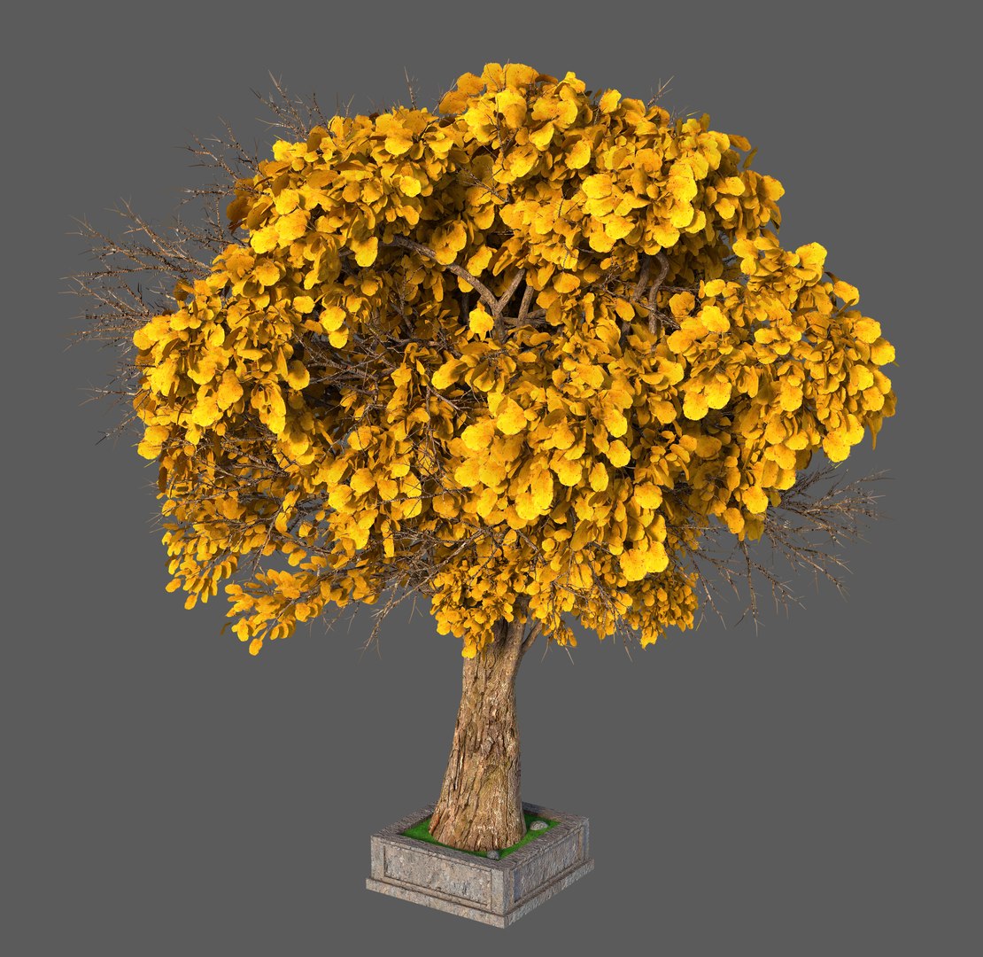 3D model tree autumn - TurboSquid 1410056