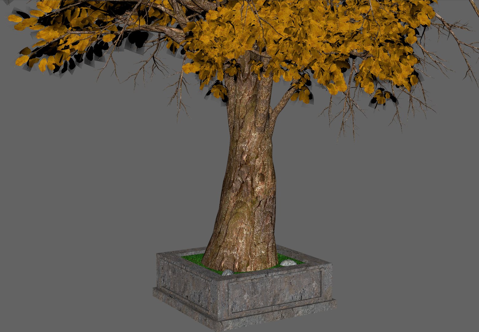 3D model tree autumn - TurboSquid 1410056