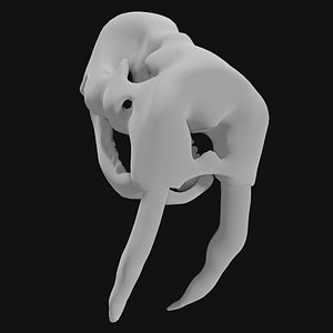 Animal Skull STL Models for Download | TurboSquid