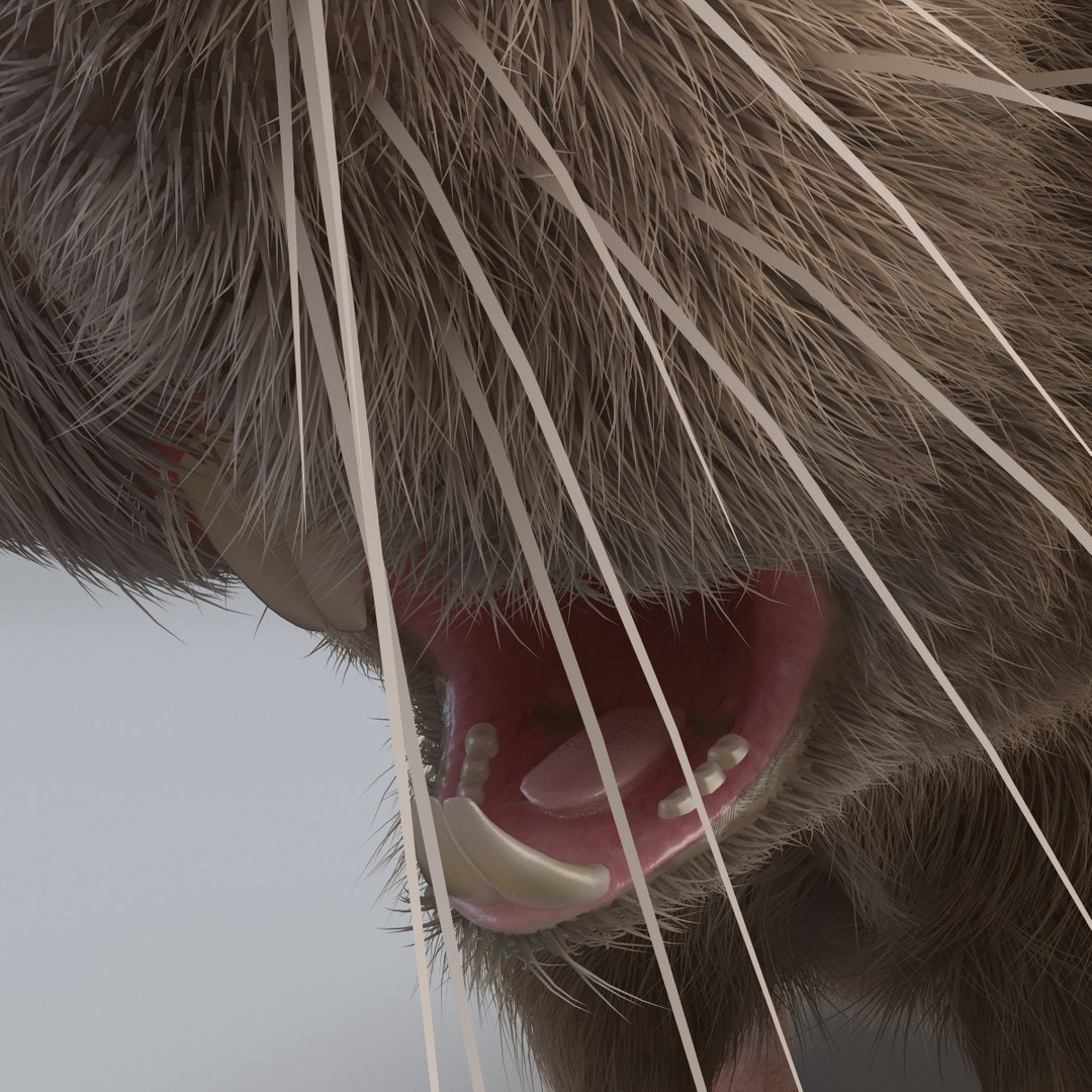 3d rat fur