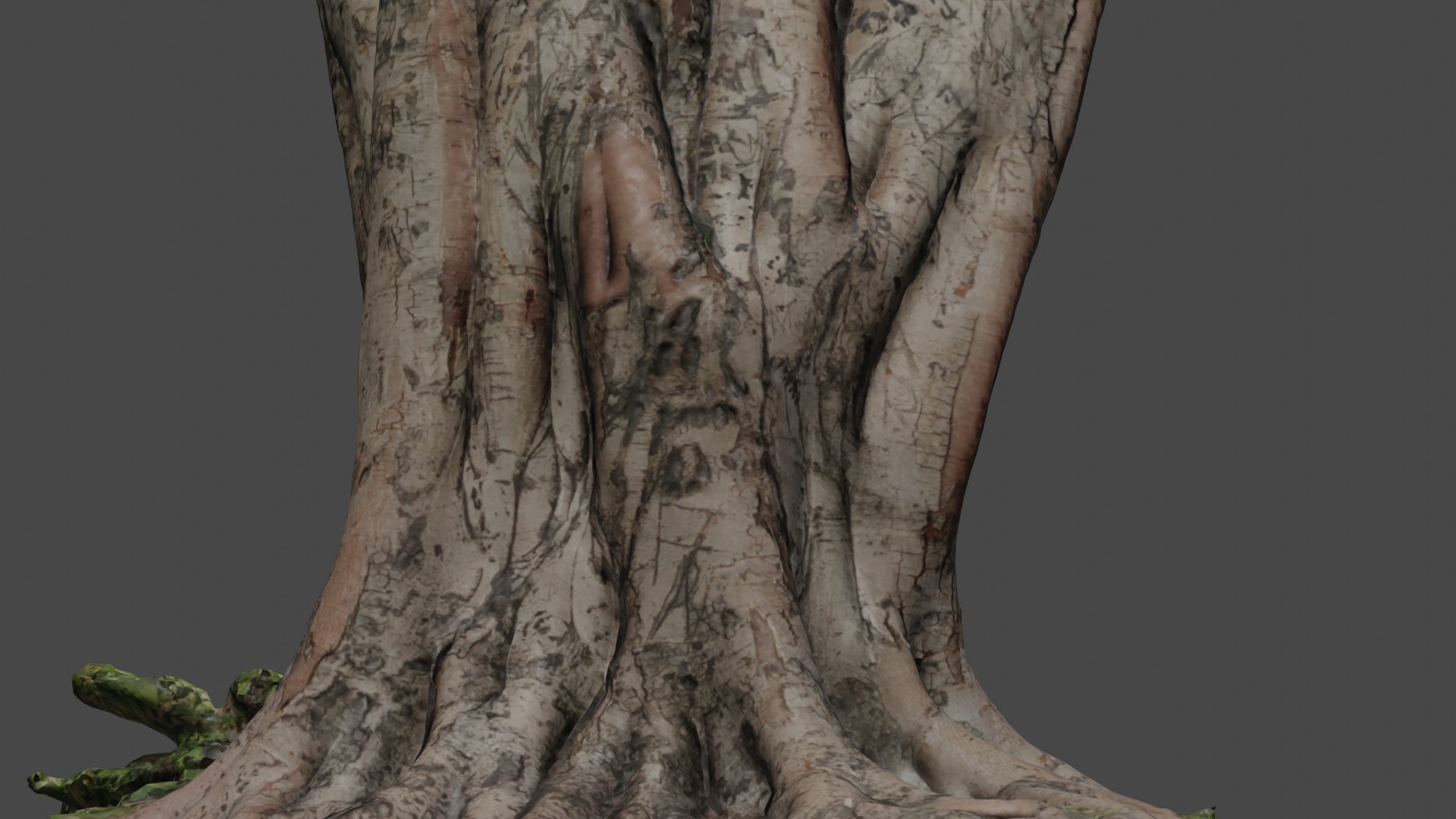 3D Tree - TurboSquid 2332173