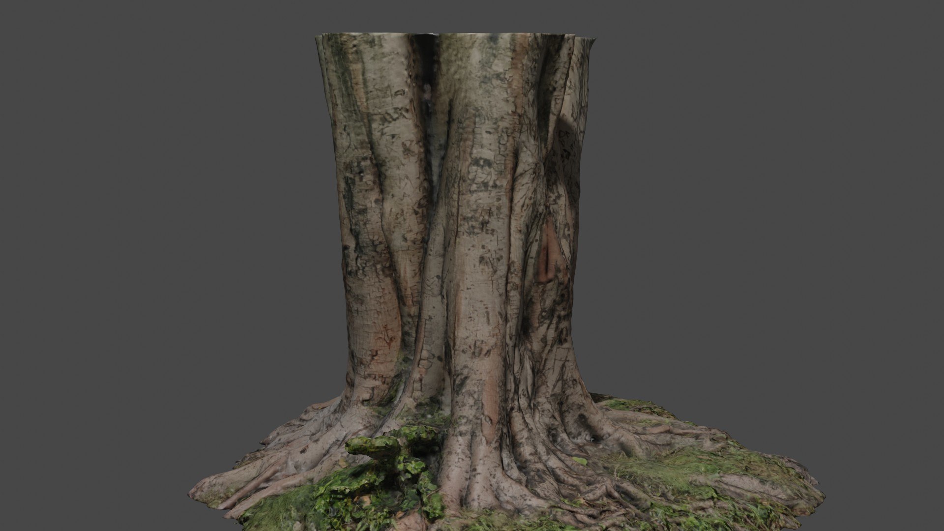 3D Tree - TurboSquid 2332173