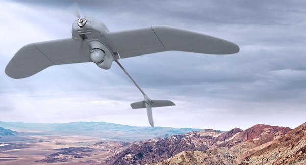 원격 제어 UAV Wasp AE UAS 3D 모델 - TurboSquid 1229410