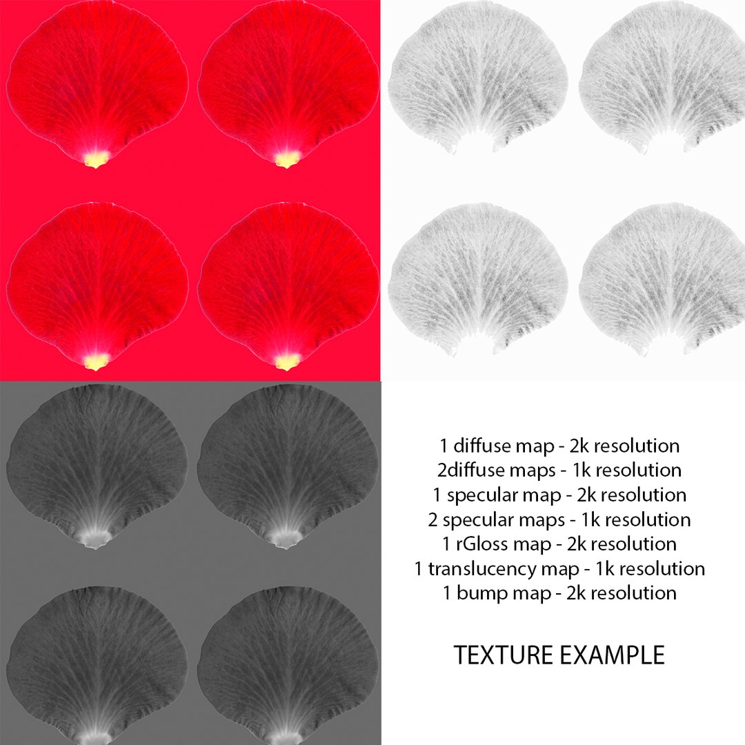 3d Model Rose Modeled Colors