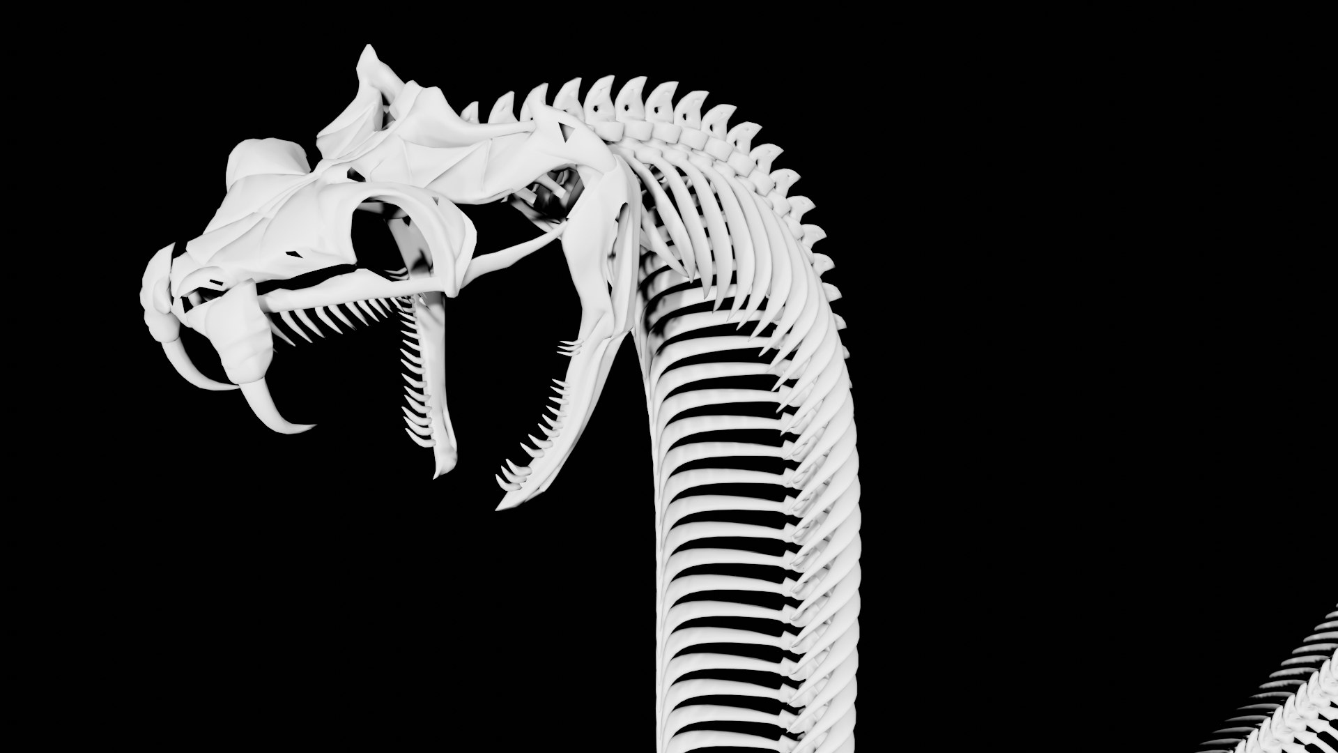 3D Rigged Snake Skeleton - TurboSquid 1826435