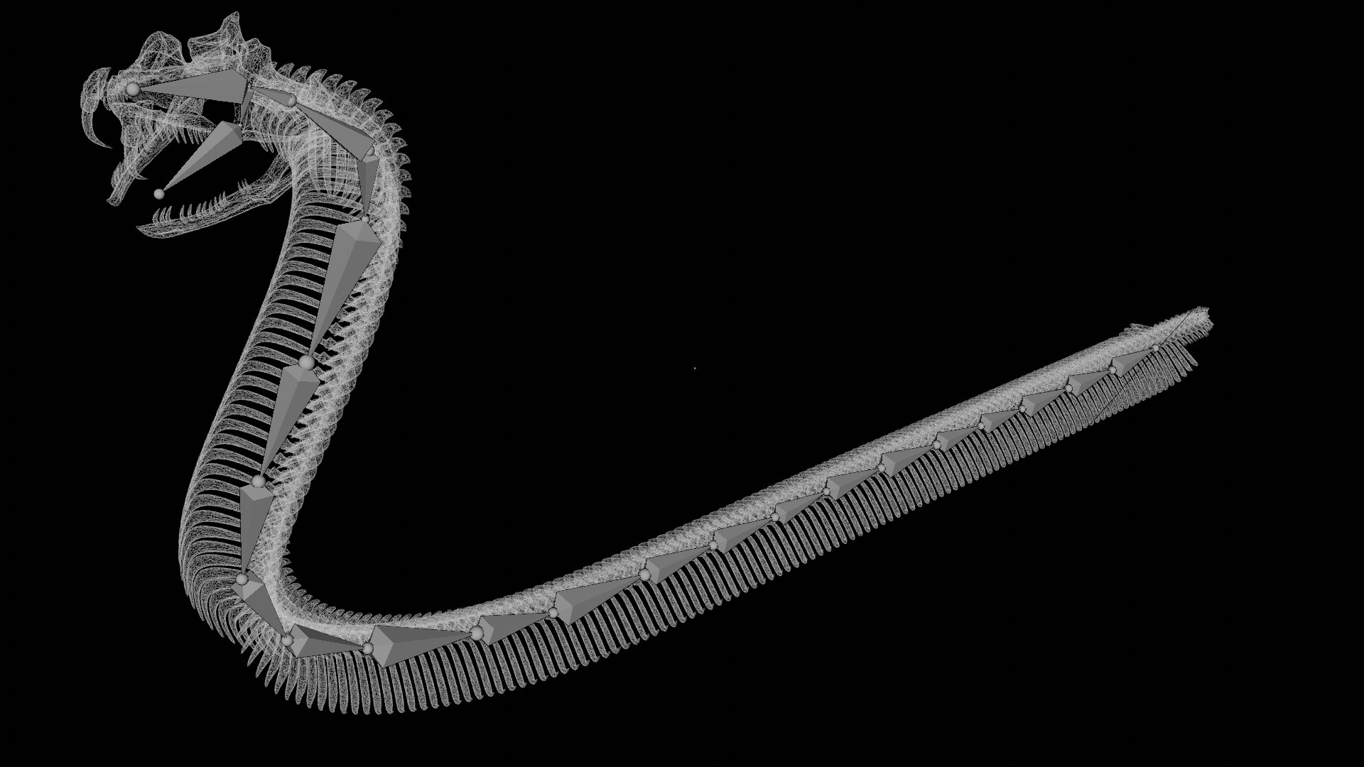 3D Rigged Snake Skeleton - TurboSquid 1826435