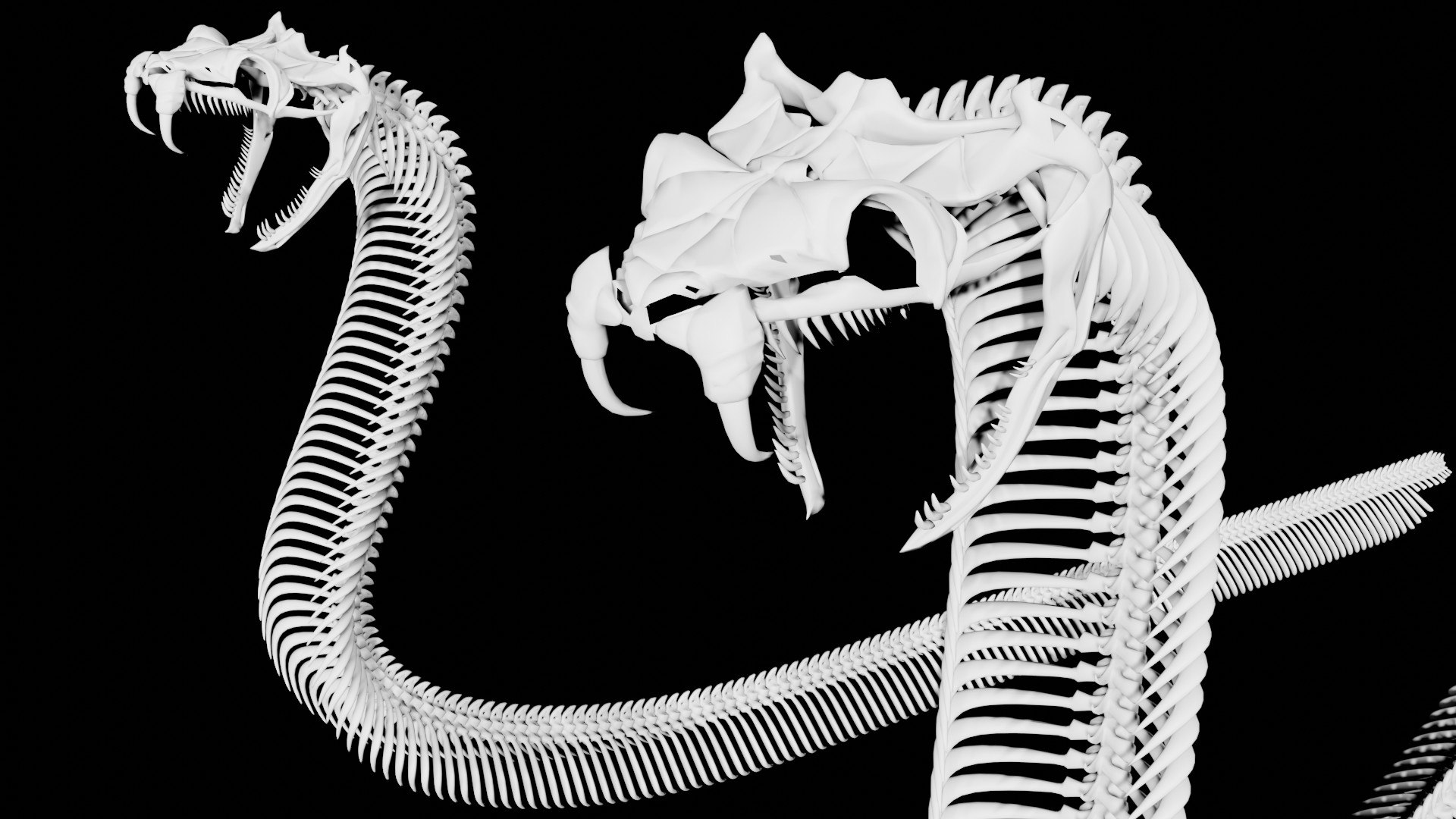 3D Rigged Snake Skeleton - TurboSquid 1826435