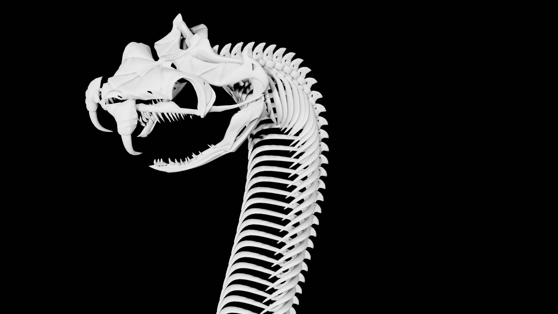 3D Rigged Snake Skeleton - TurboSquid 1826435