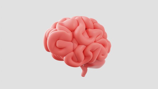 3D Blender organs heart brain