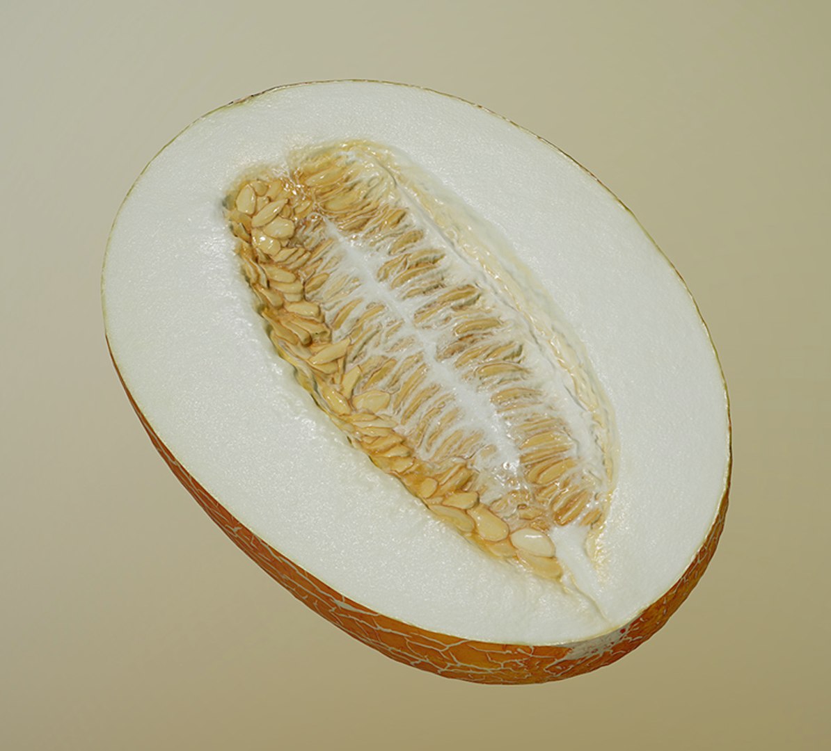 Melon Model - TurboSquid 1319646