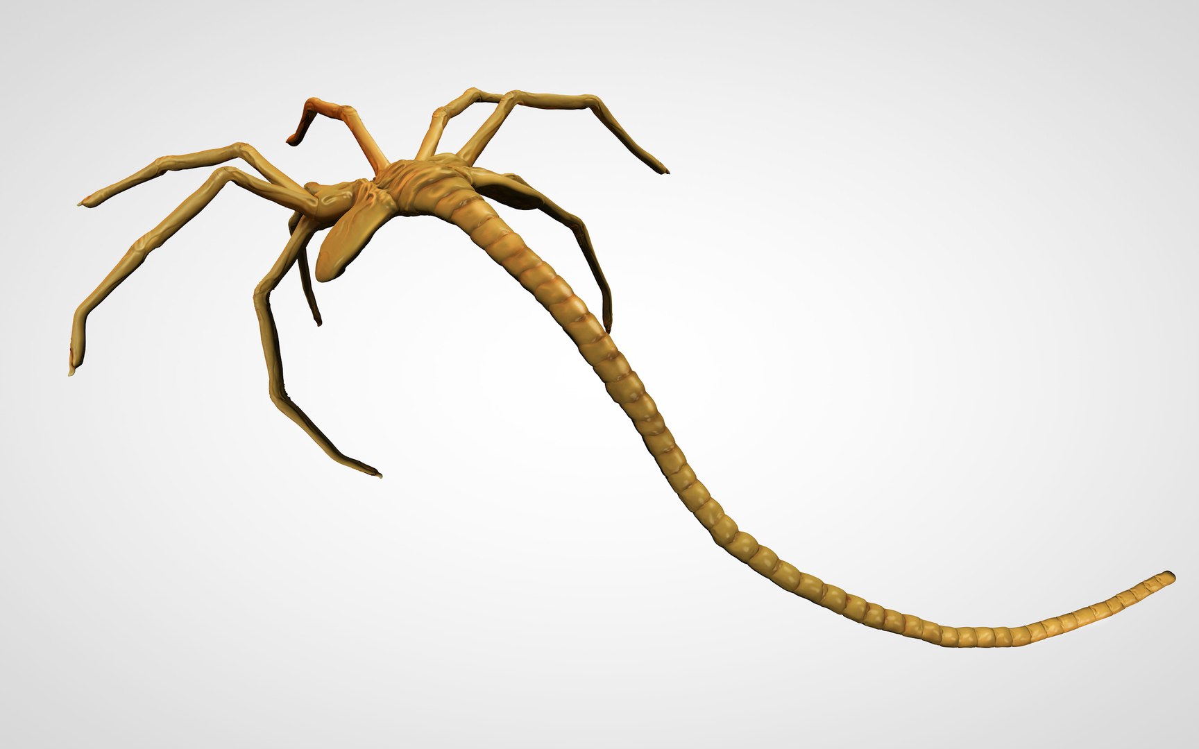 Facehugger Alien 3d C4d