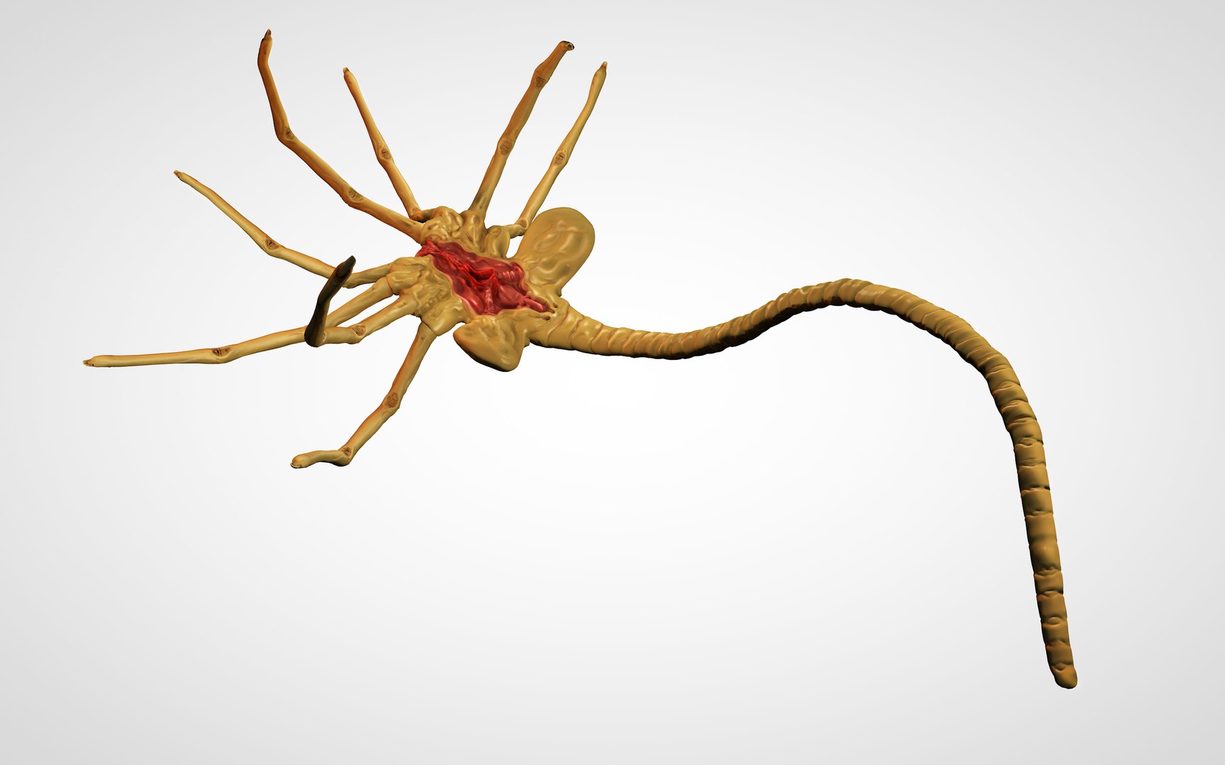 Facehugger Alien 3d C4d