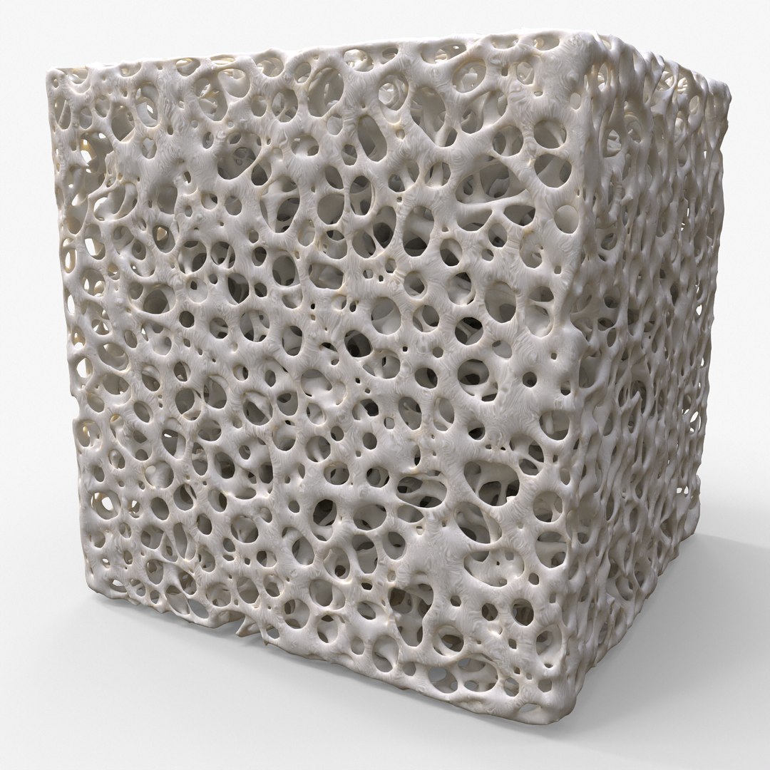 3D Bone Sponge Structure - TurboSquid 1758582