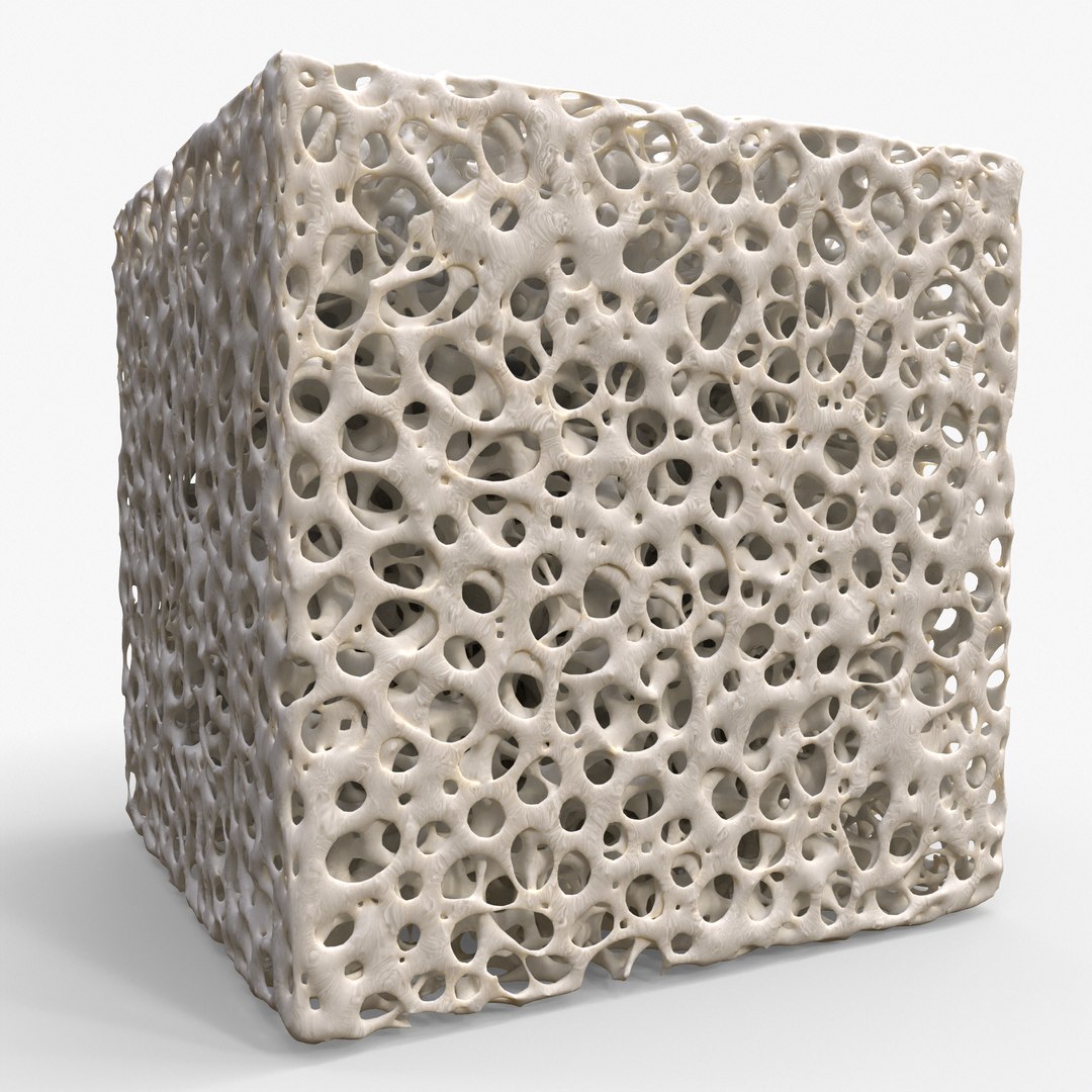 3D Bone Sponge Structure - TurboSquid 1758582