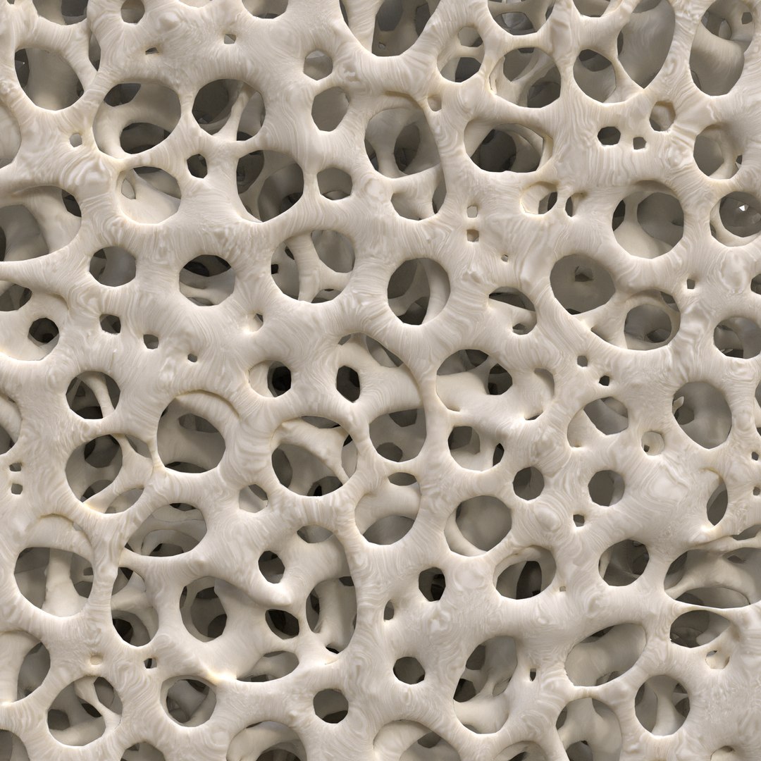 3D Bone Sponge Structure - TurboSquid 1758582