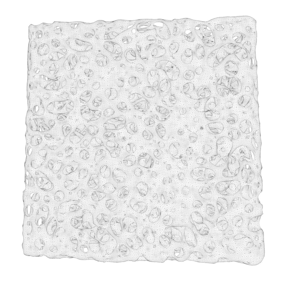 3D Bone Sponge Structure - TurboSquid 1758582