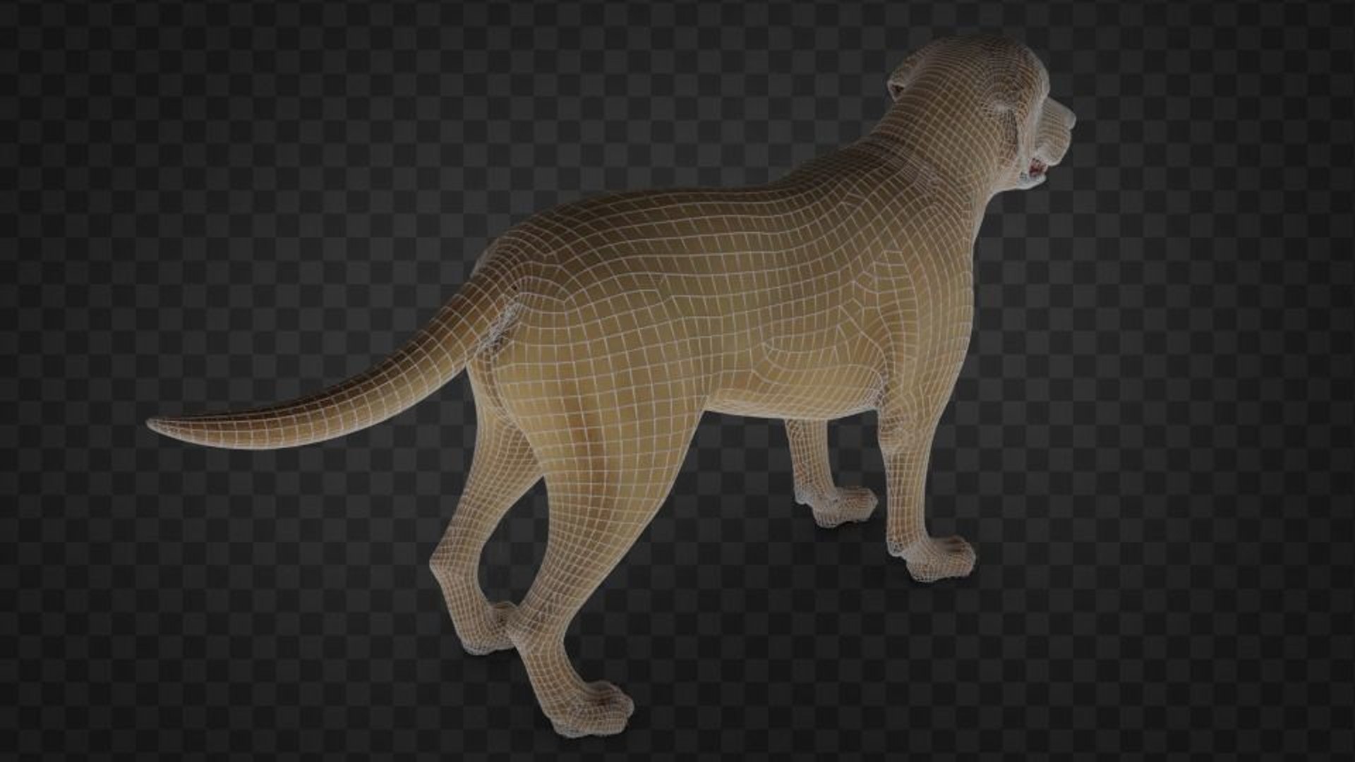 3D Dog Animal Labrador Model - TurboSquid 1245416